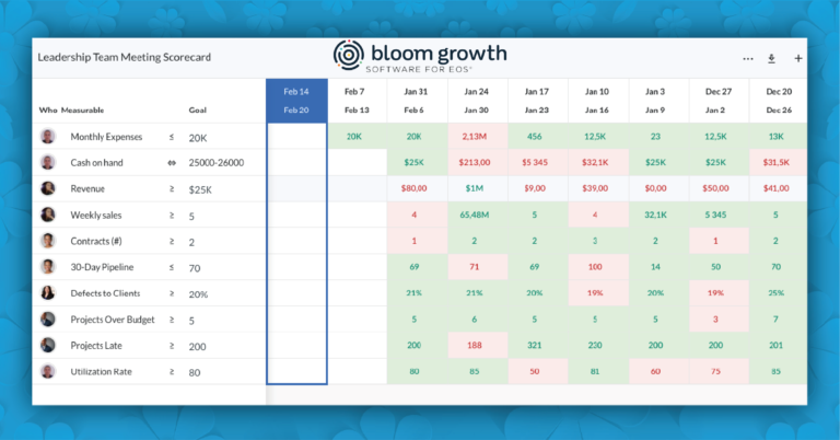 Bloom Growth - Brings together all of your company's data